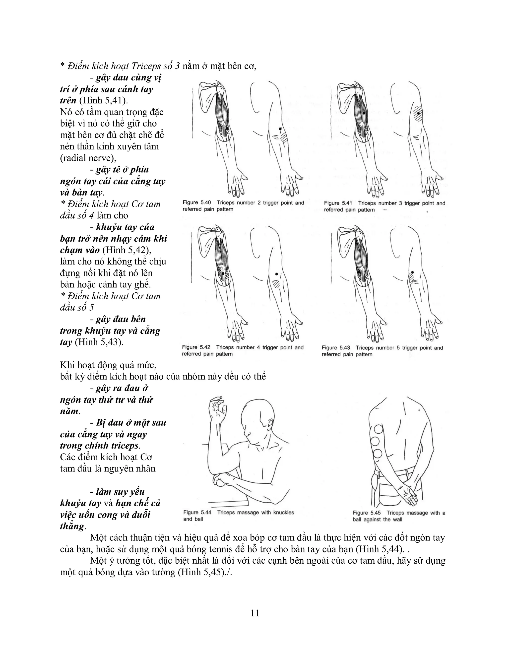 Phan c Trigger VHN | PDF