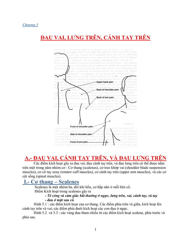 Phan c Trigger VHN | PDF