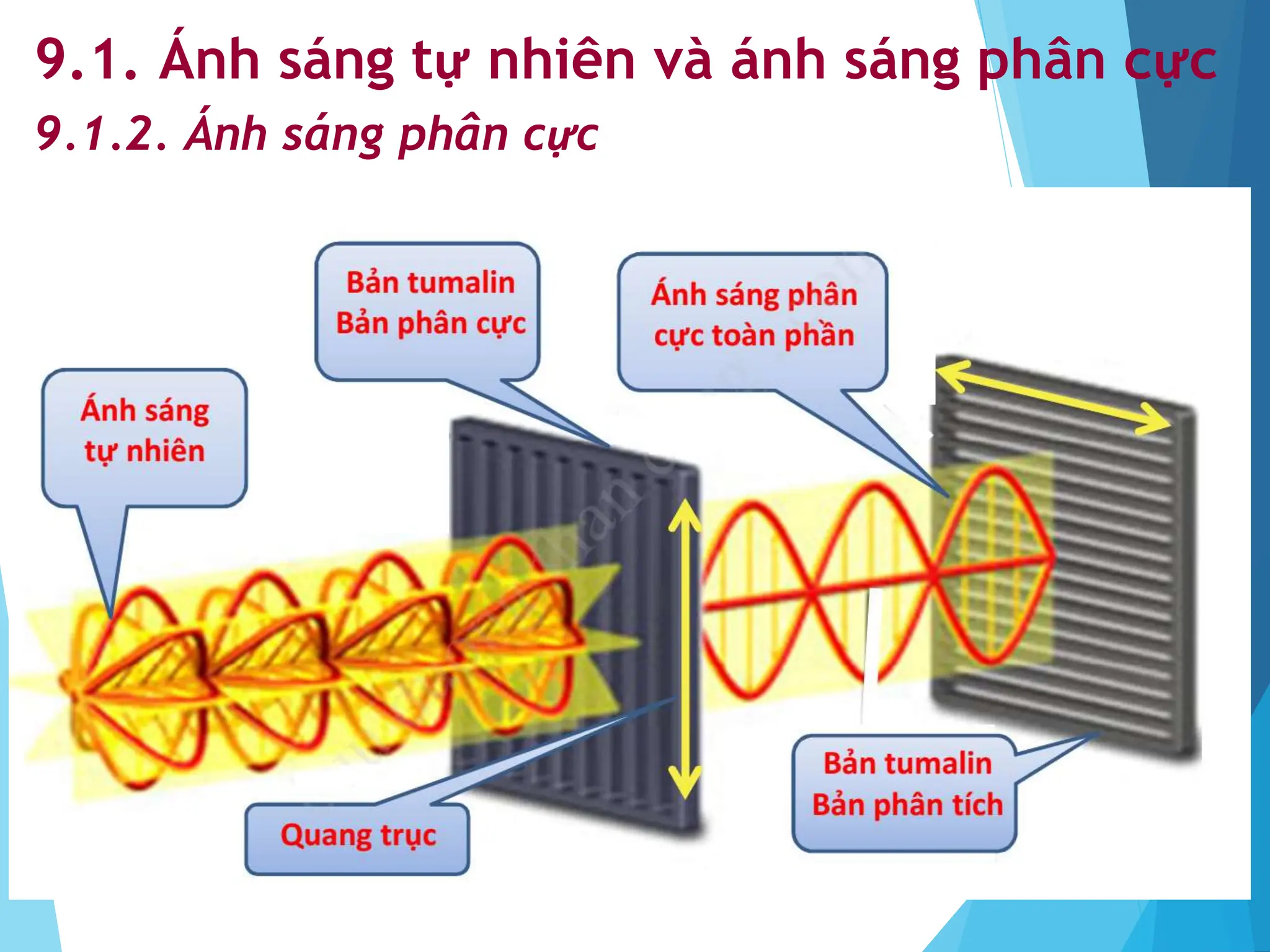 Phan Cuc anh sang vật lý đai cương 3.pptx