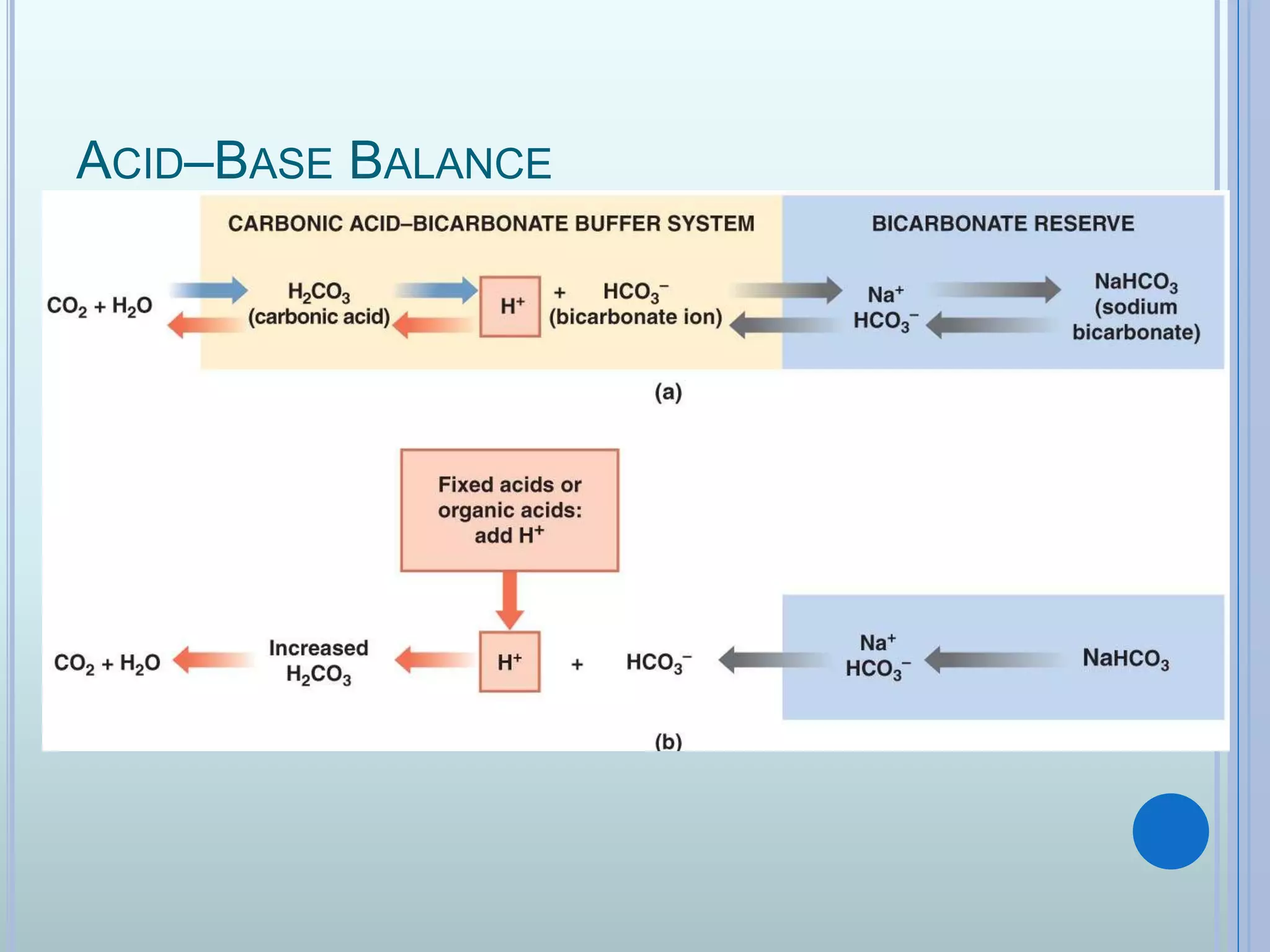 Ph and buffer | PPTX | Chemistry | Science