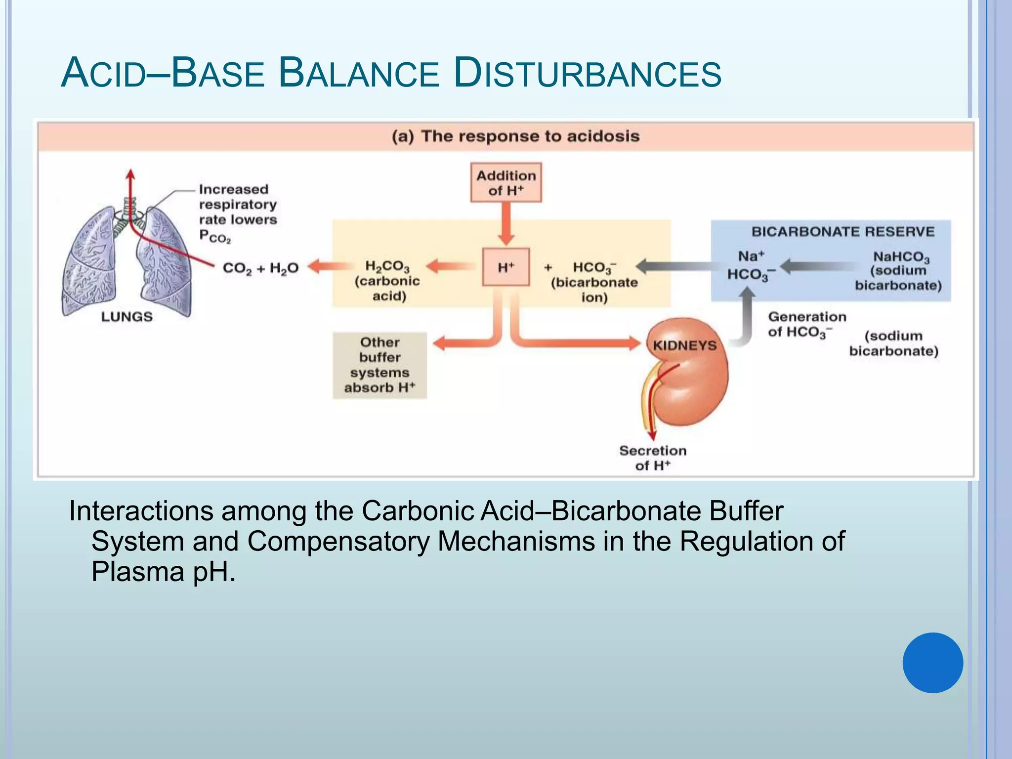 Ph and buffer | PPTX