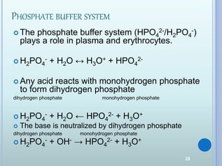 Phosphate Buffer System Equation