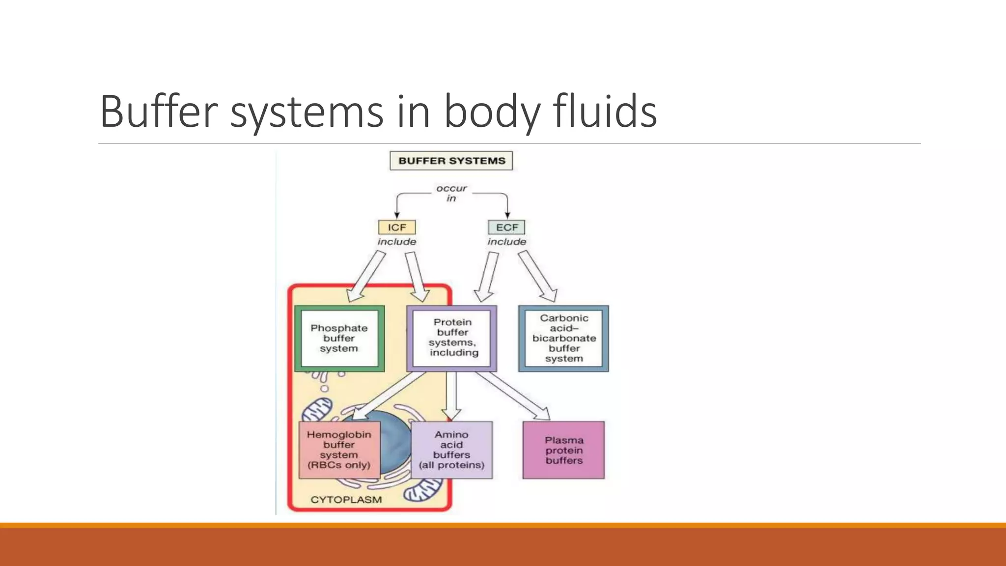pH and Buffers 2.pptx