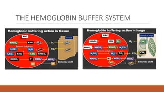 pH and Buffers 2.pptx