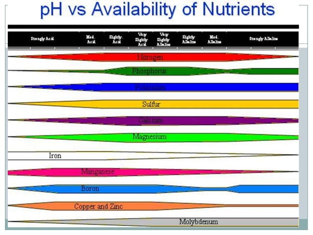 pH and its effects on nutrient availablity | PPTX | Chemistry | Science
