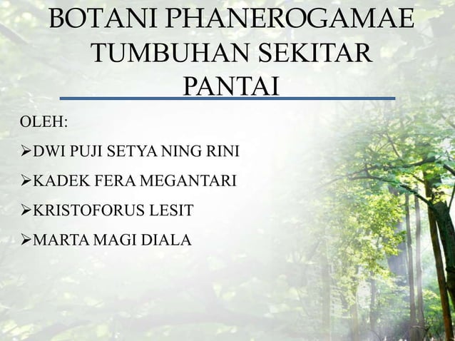 Phanerogamae (pantai serangan)kelompok dwi puji | PPTX