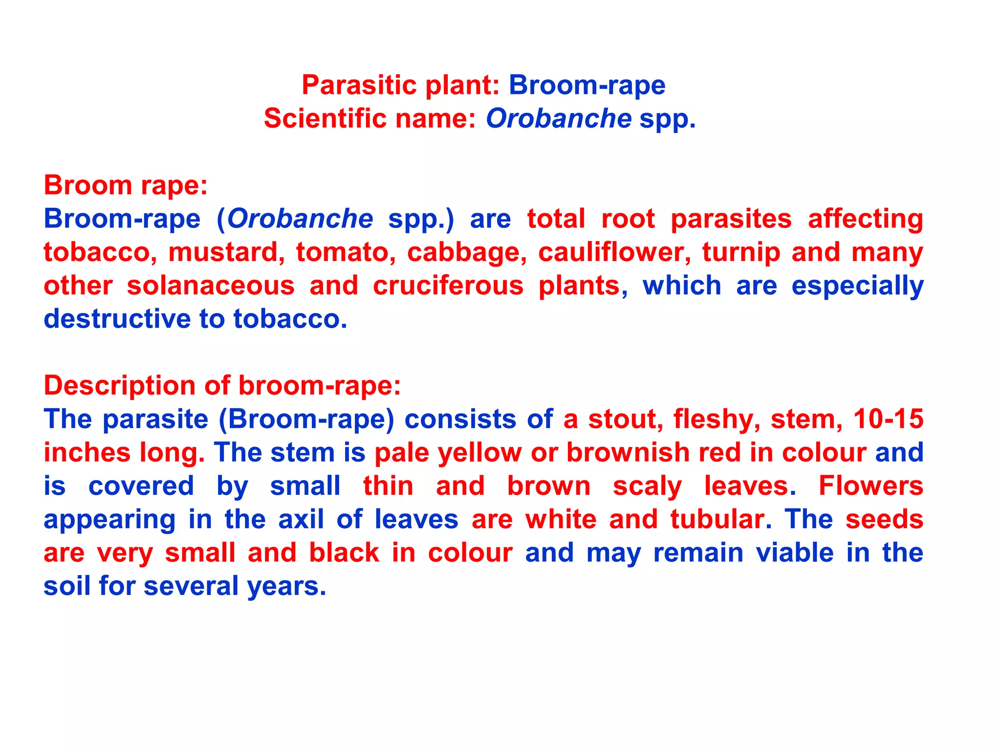Phanerogamic plant parasites | PPT