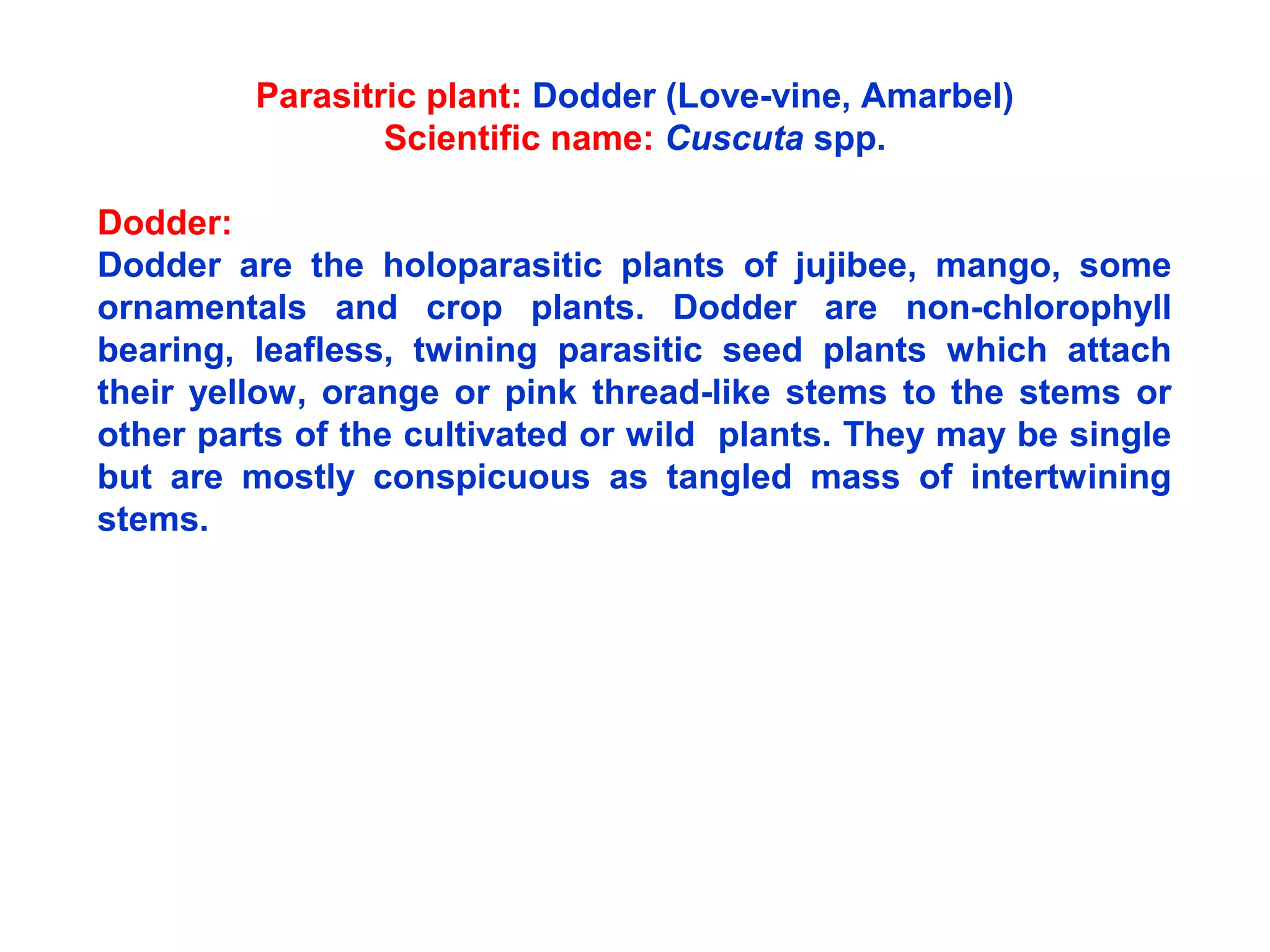 Phanerogamic plant parasites | PPT