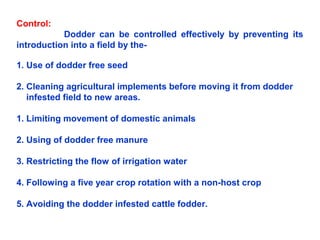 Phanerogamic plant parasites | PPT | Gardening | Home & Garden