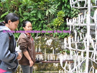 Phang Fui Cin | PPT