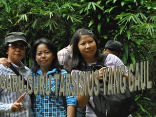 Phang Fui Cin | PPT