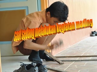 Phang Fui Cin | PPT