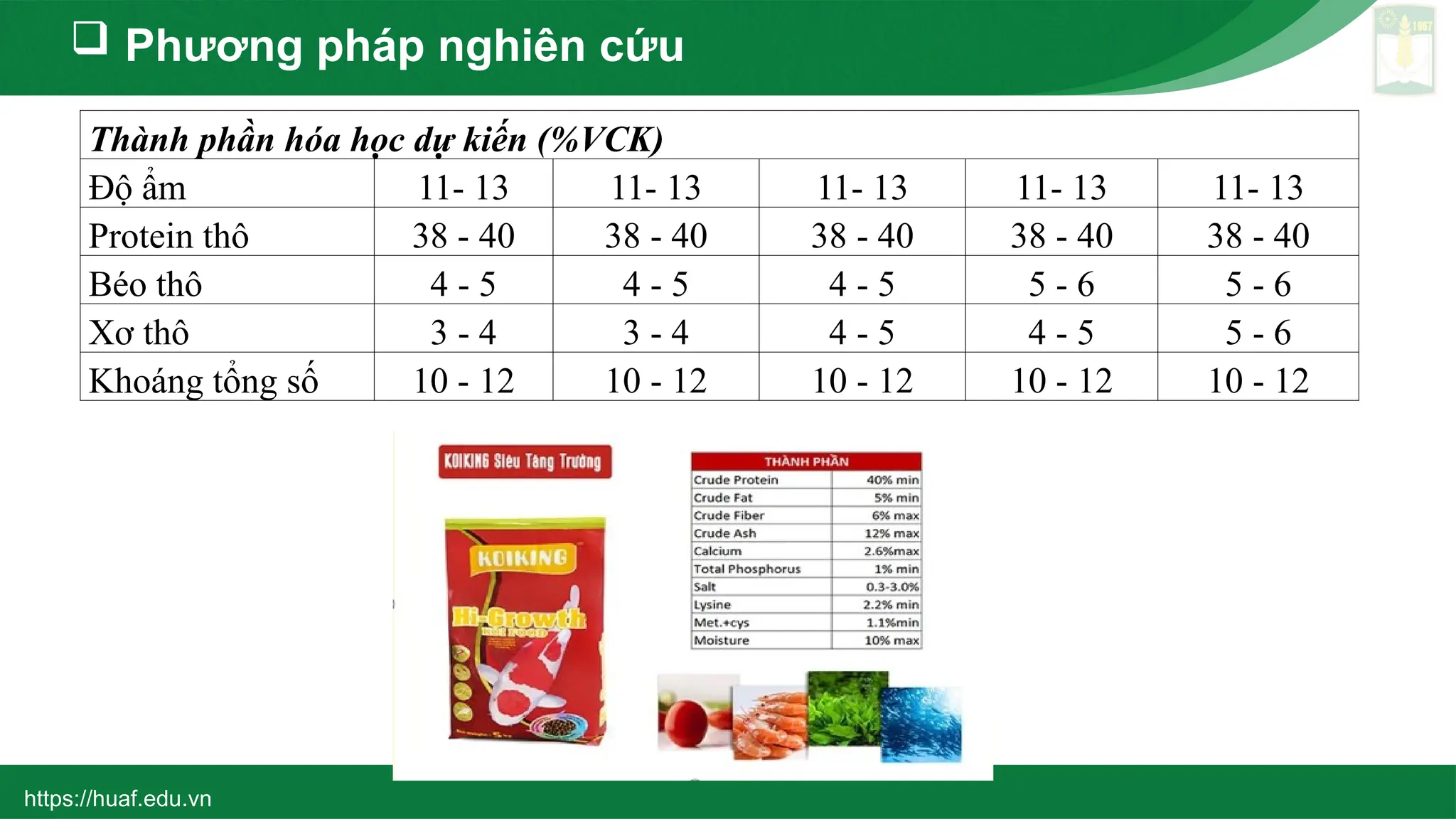 Phan Hoàng Long- TM-NCKHSV2025 (final).pptx