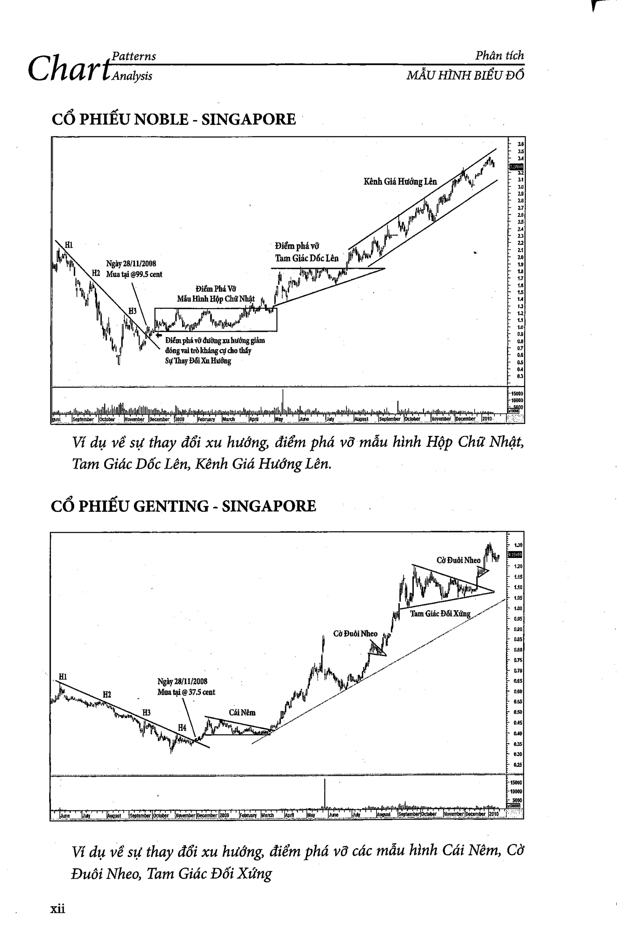 PHAN TICH MAU HINH BIEU DO - Dan Zanger.pdf