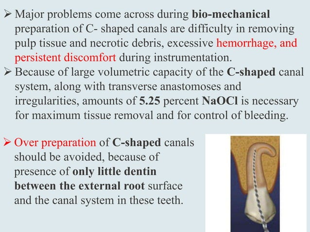 phantomic endodentic.ppt | Dental Health | Diseases and Conditions
