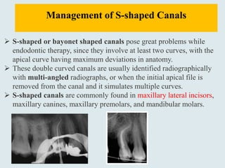 phantomic endodentic.ppt