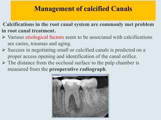 phantomic endodentic.ppt