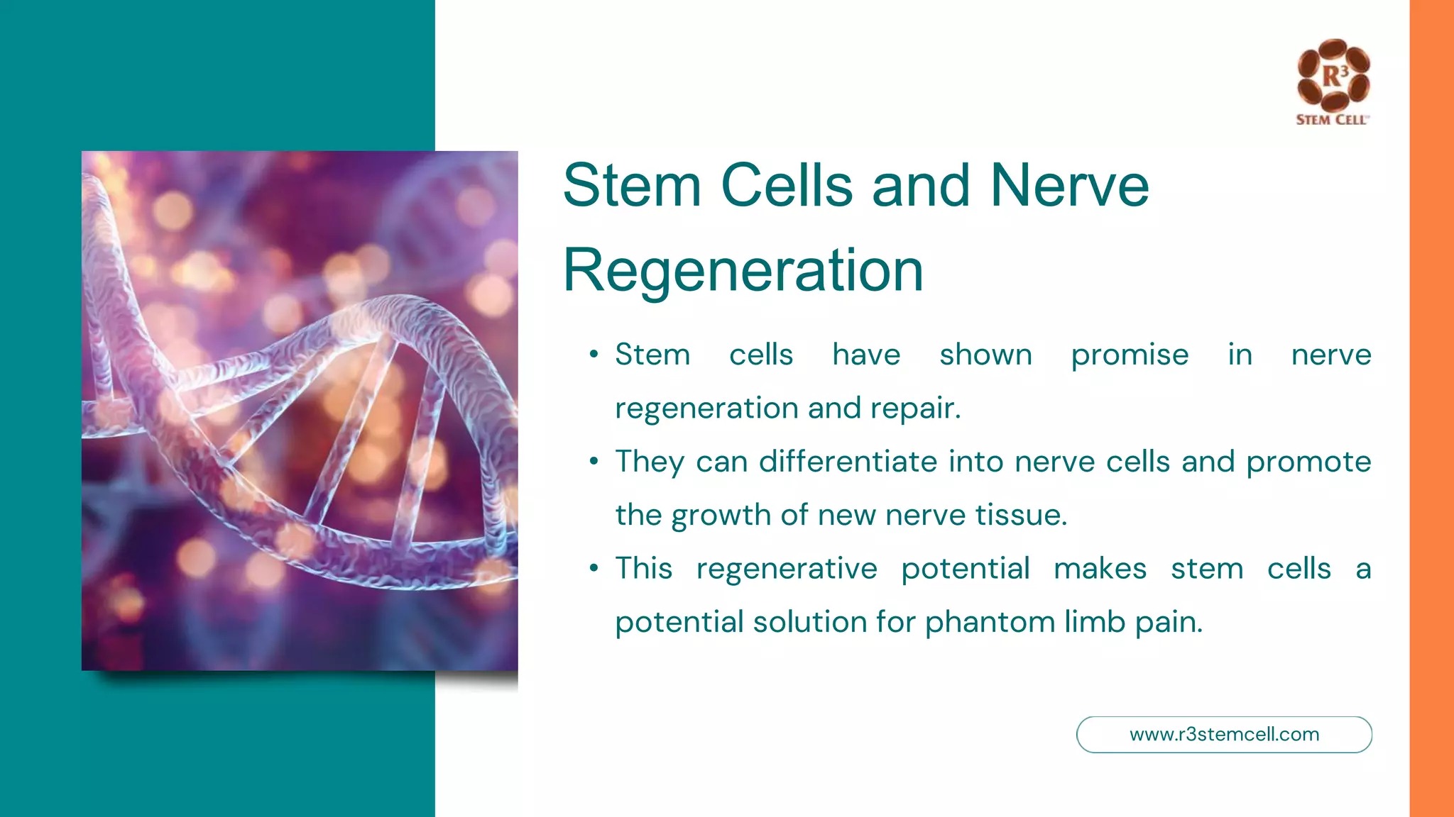 Phantom Limb Pain: Exploring Stem Cell Solutions - Dr. David Greene.pptx