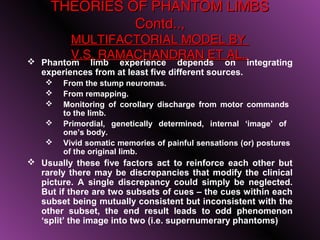 Phantom limbs past present-future | PPT