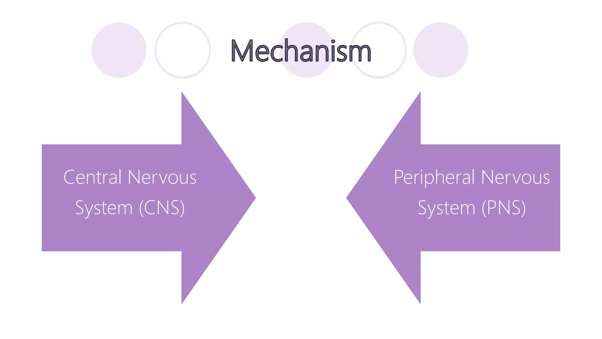 Phantom Limb Syndrome | PPTX