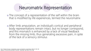 Phantom Limb Syndrome | PPTX