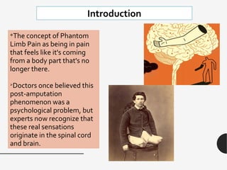 Phantom limp pain | PPT
