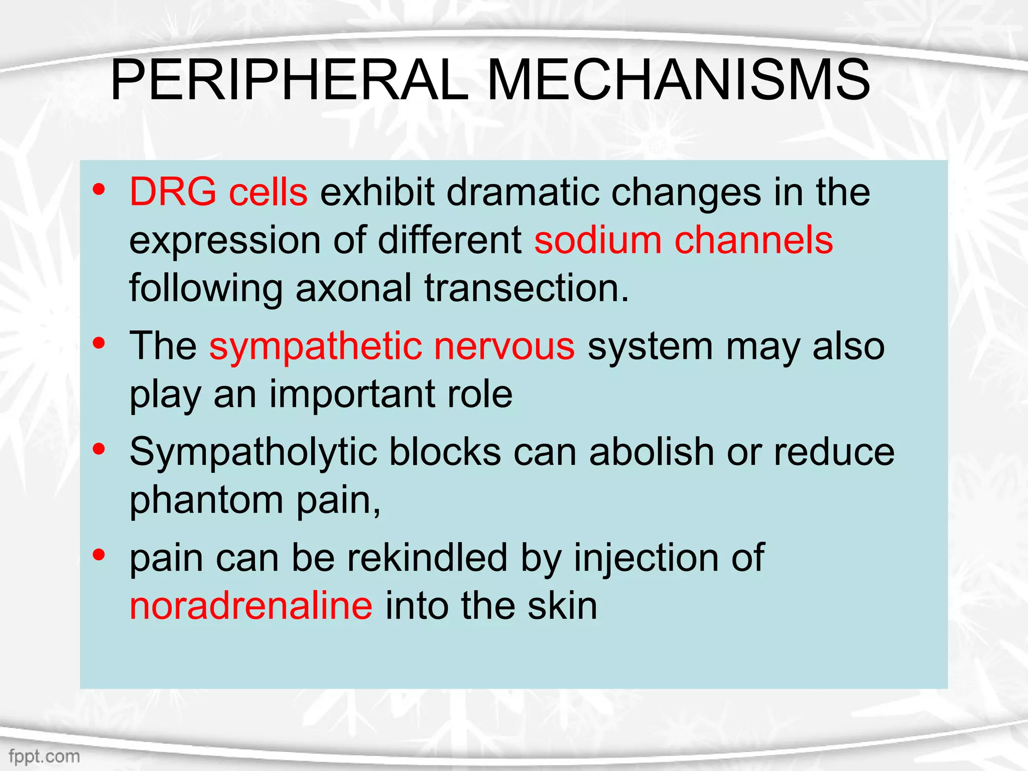Phantom limb pain | PPT