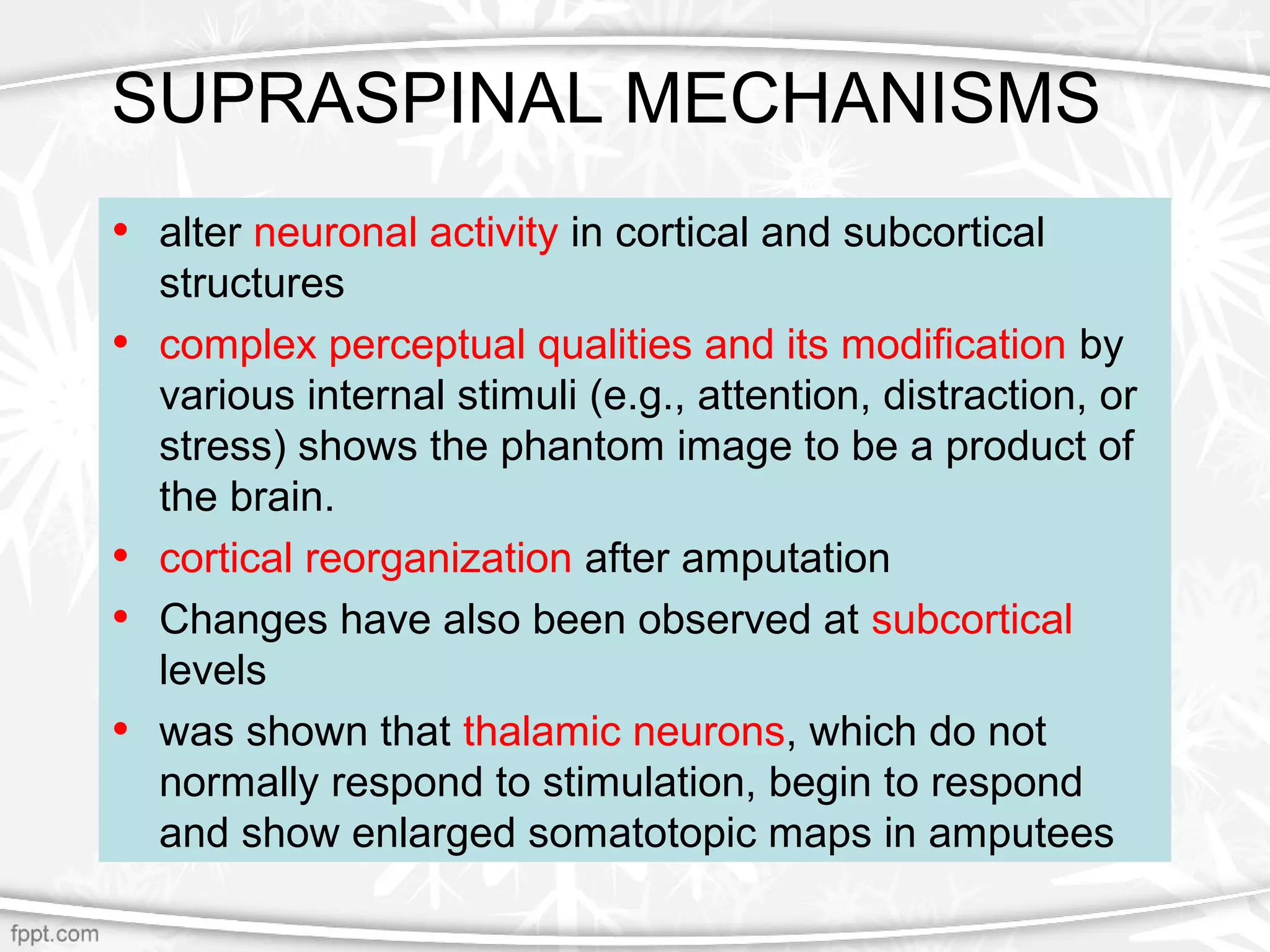 Phantom limb pain | PPT