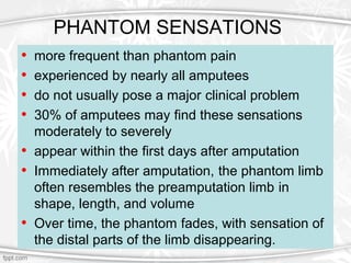 Phantom limb pain | PPT