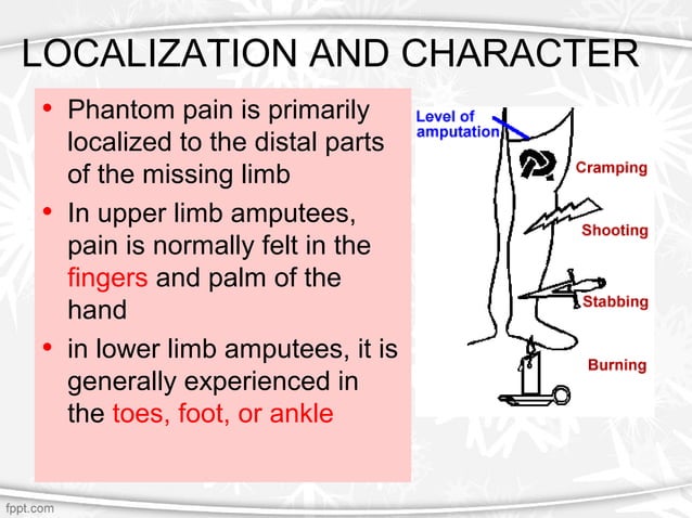 Phantom limb pain