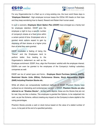 Phantom Stock Option Plan | PDF