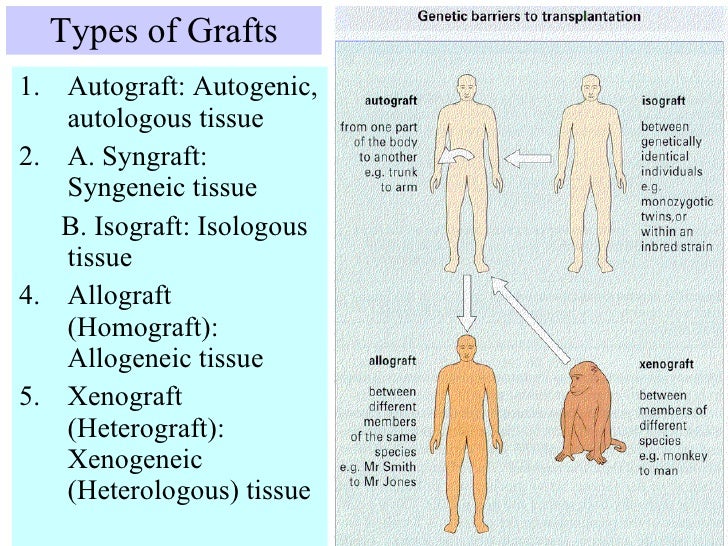 Pharm immuno14&15 cancer & transplantpor
