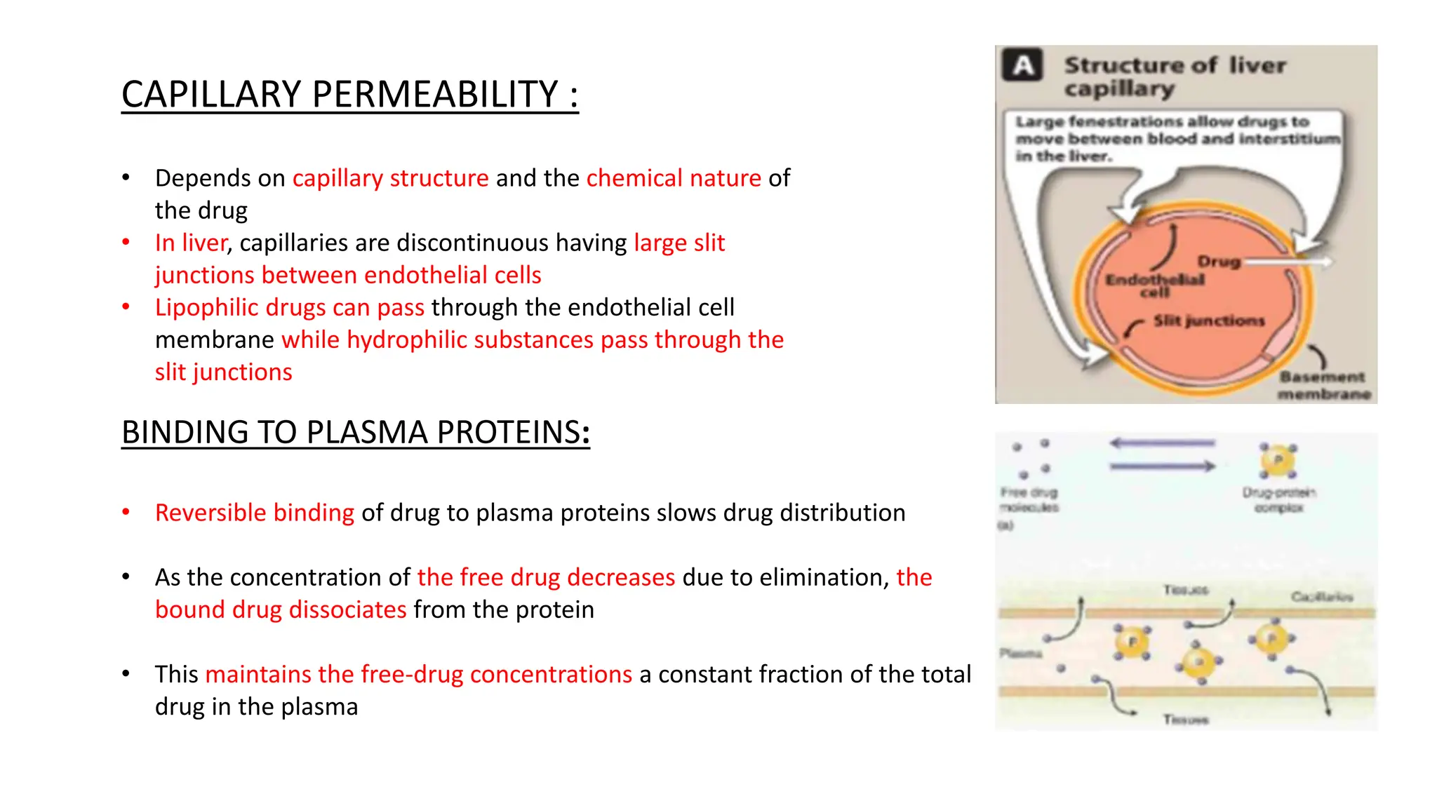 pharmacokinetics- a detailed and easy way to learn | PPTX