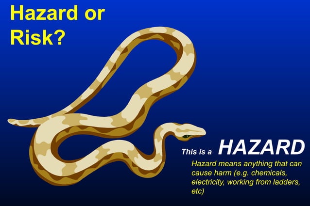 PHA & RM (1).pptx process hazard warning | PPTX