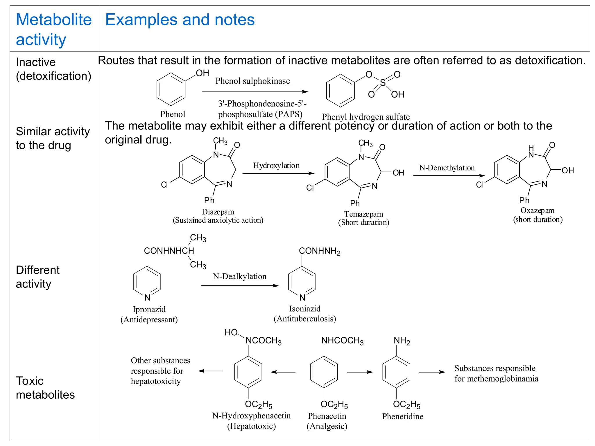 PHARM4515-5__Drug_Metabolism_ biotransformation reactions.ppt