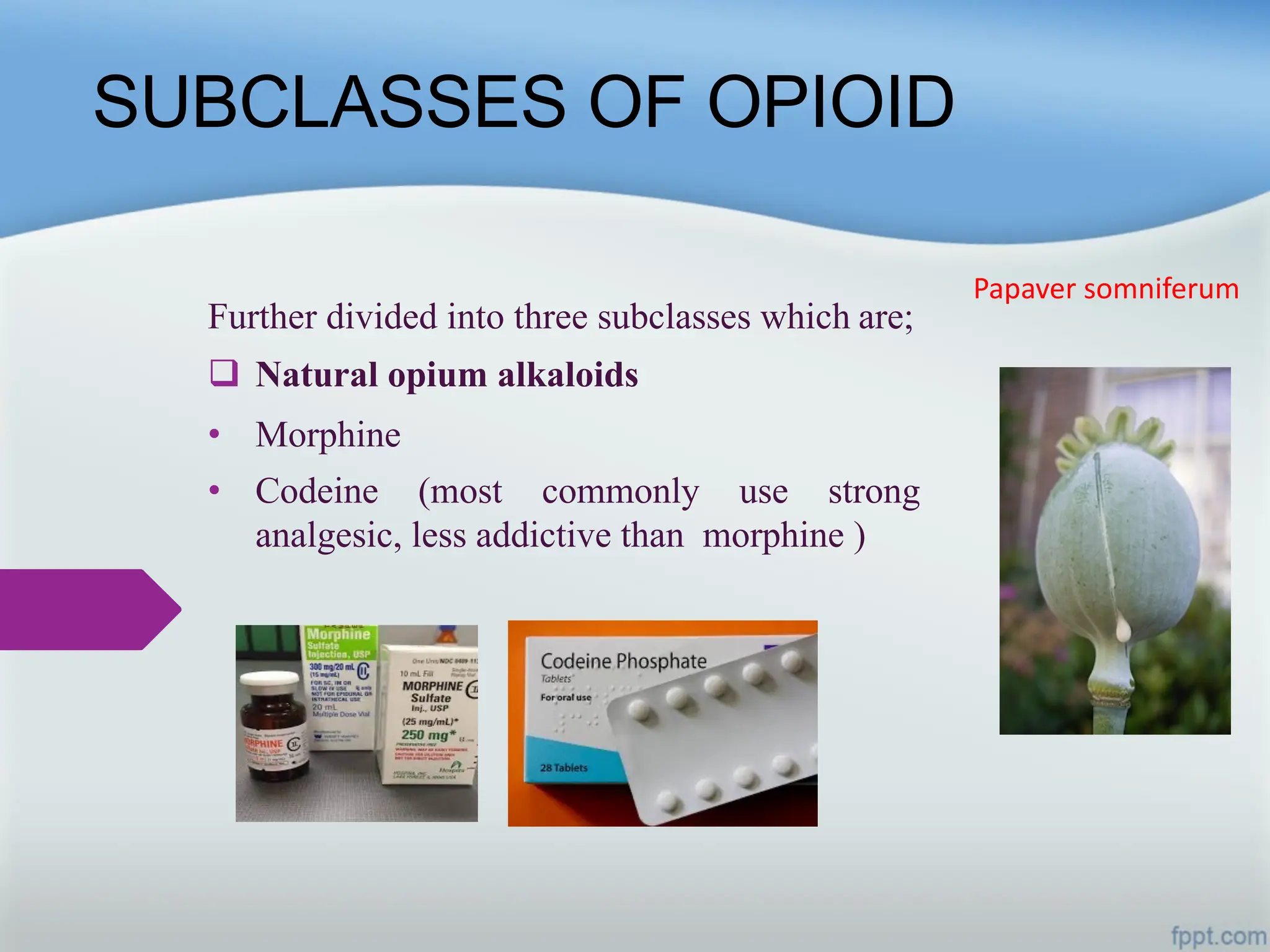 Pharma-Final-Review-1st-sem-25-26.pdf rebiew pdf | PDF