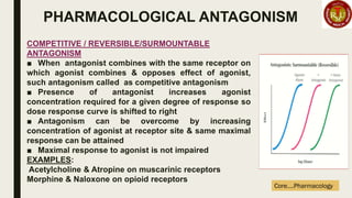 Pharma 11- Factors modyfying doses actions of drugs-Dr Asma Dr Sobia.pdf