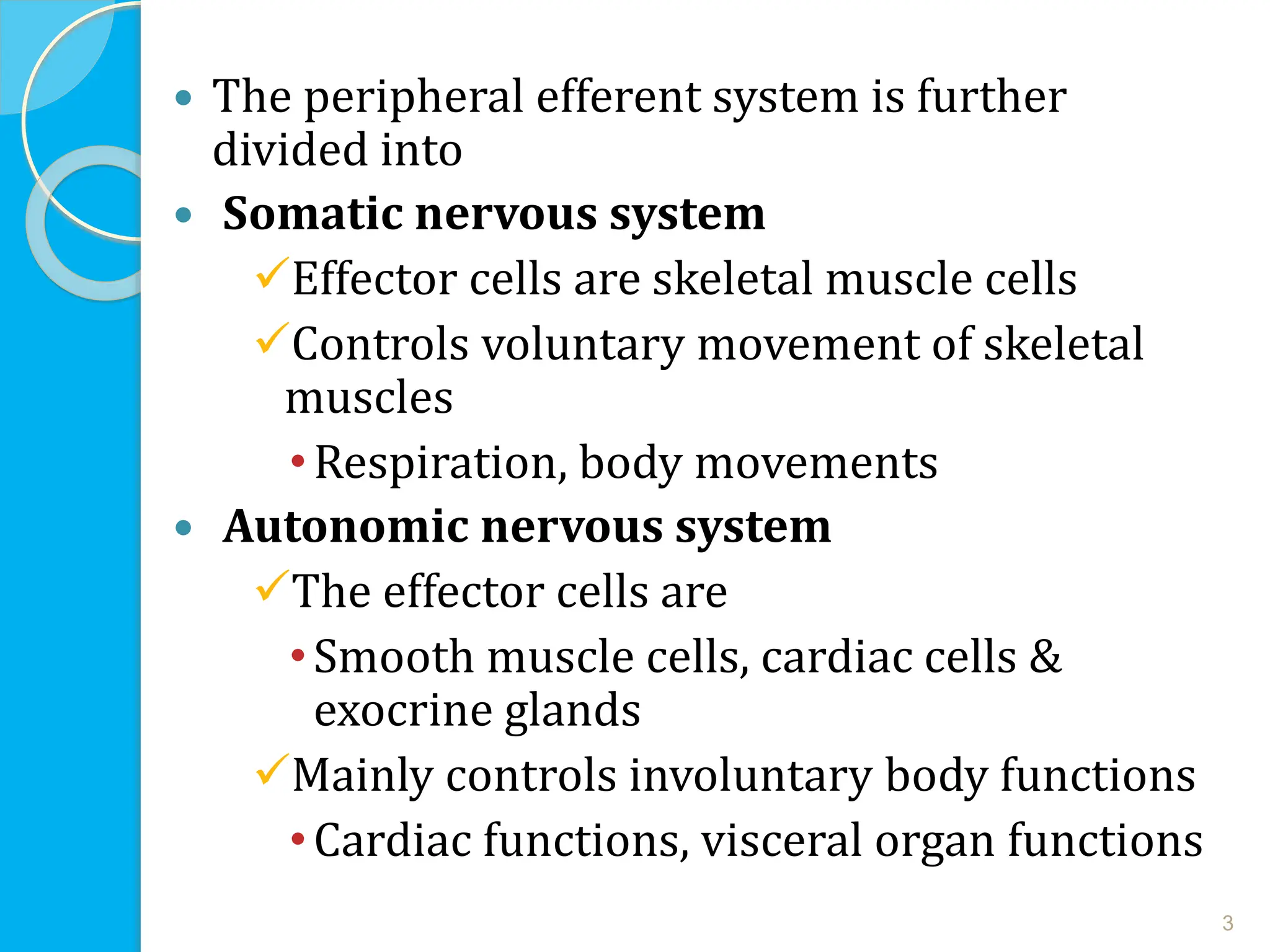 pharmacology autonomous nervous system s.pptx