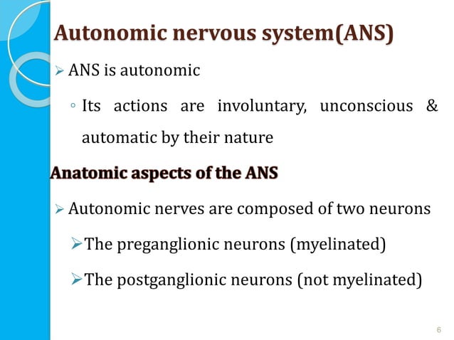 pharmacology autonomous nervous system s.pptx