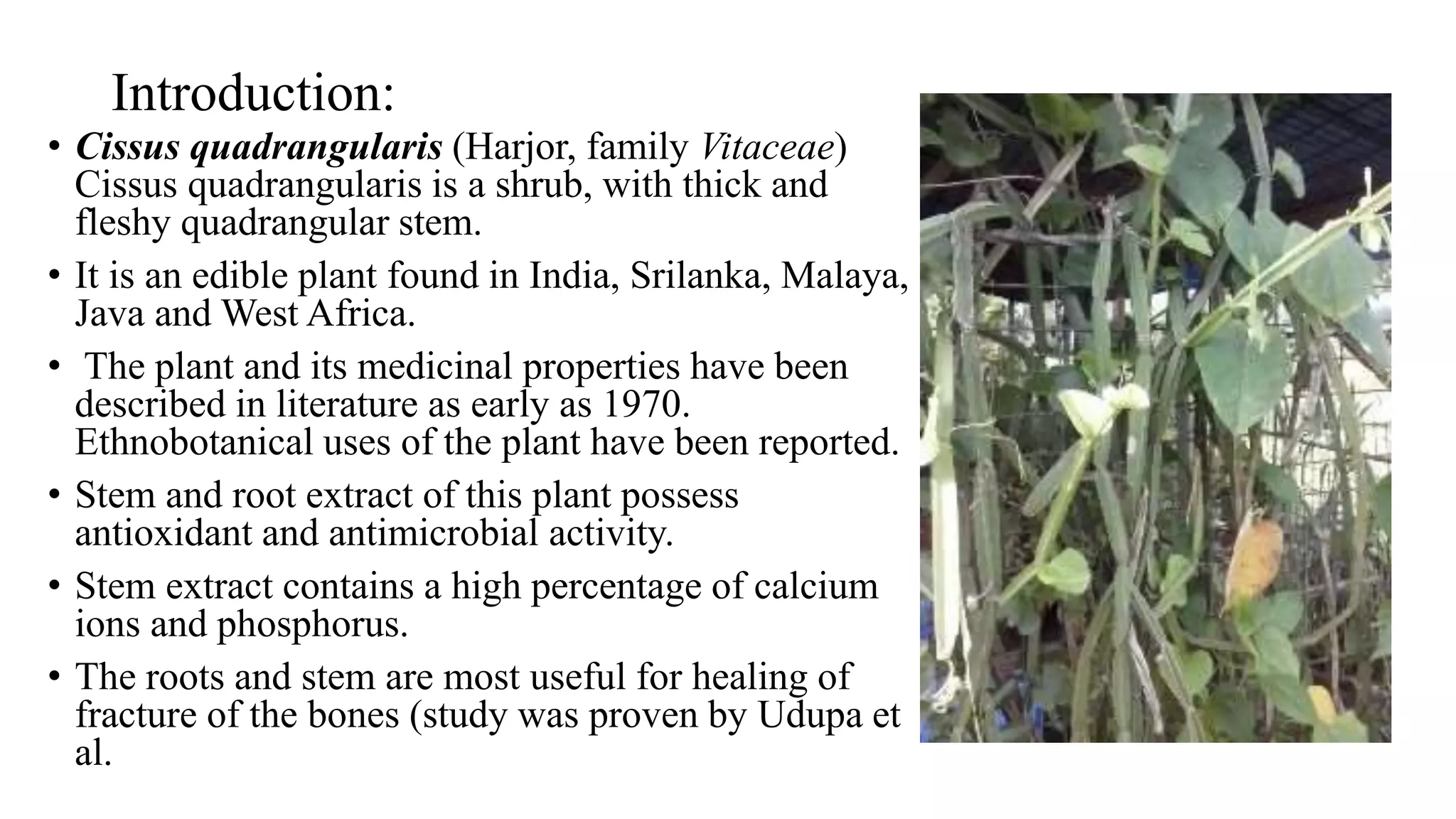 Pharma Anveshan.pptx