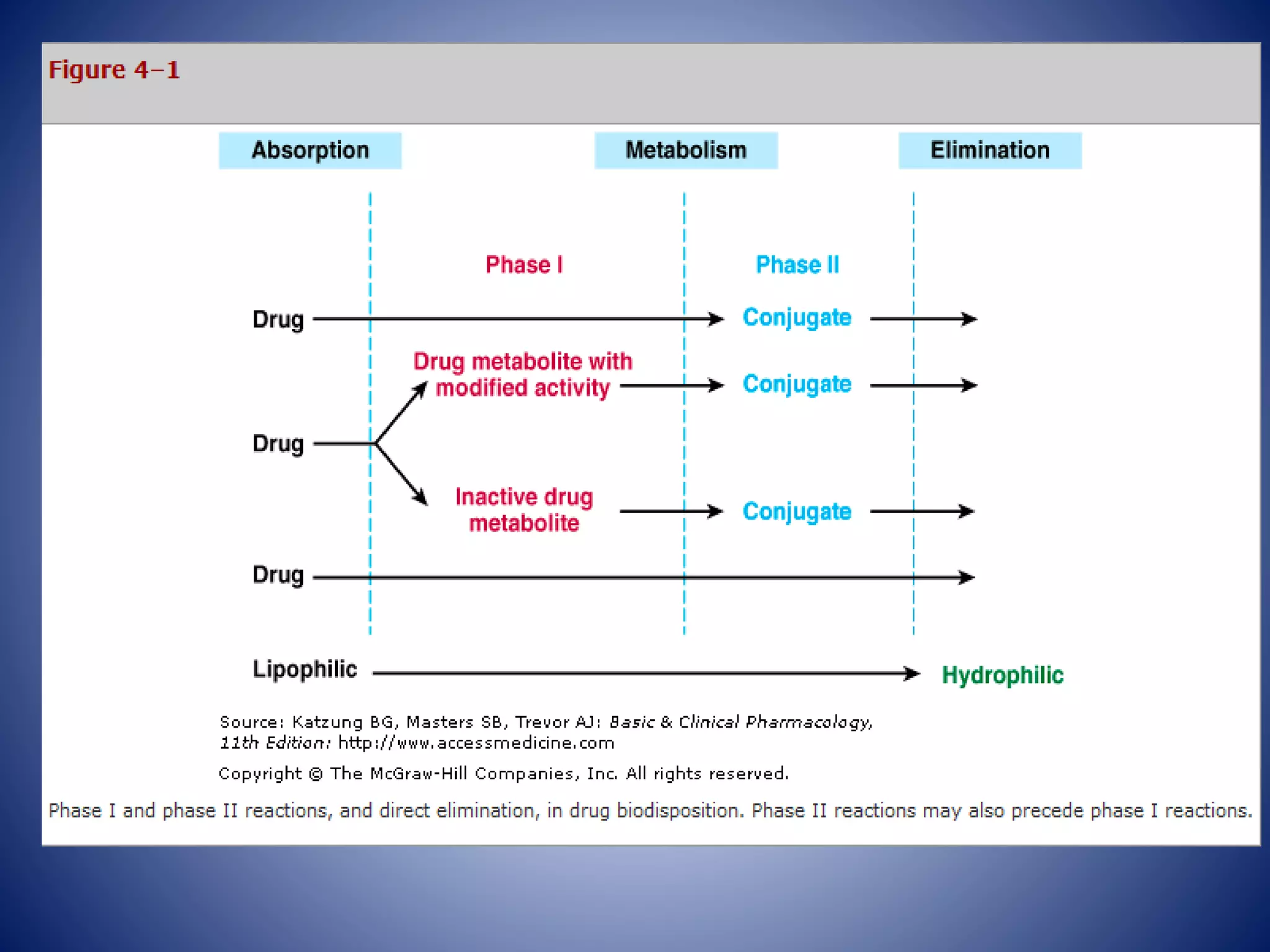 [Pharma] biotransformation | PPTX