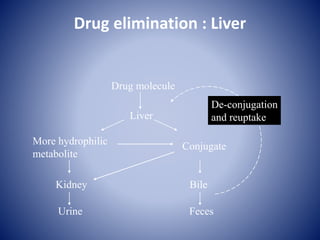 [Pharma] biotransformation | PPT