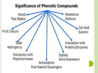 Pharmaceutical applications of phenol and their derivatives | PPTX