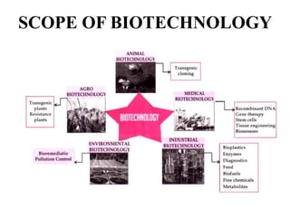 INTRODUCTION TO PHARMACEUTICAL BIOTECHNOLOGY | PPTX