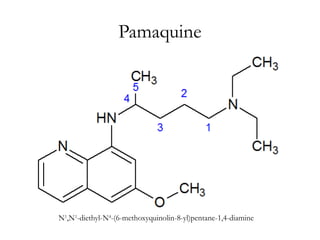 pharmaceutical chemistry antimalarial drugs | PPTX