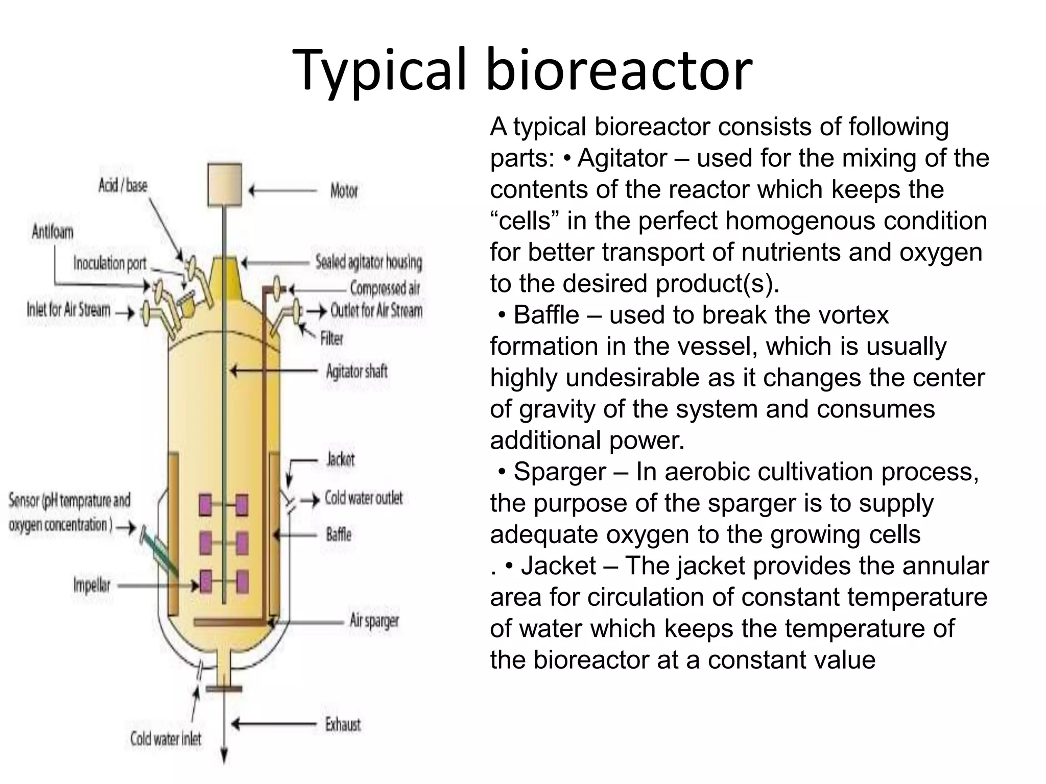 Pharmaceutical enzymes kkg | PPT