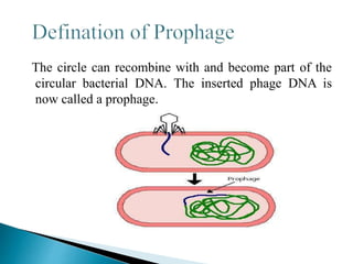 Pharmaceutical microbiology | PPT