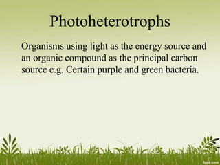 Pharmaceutical microbiology | PPT