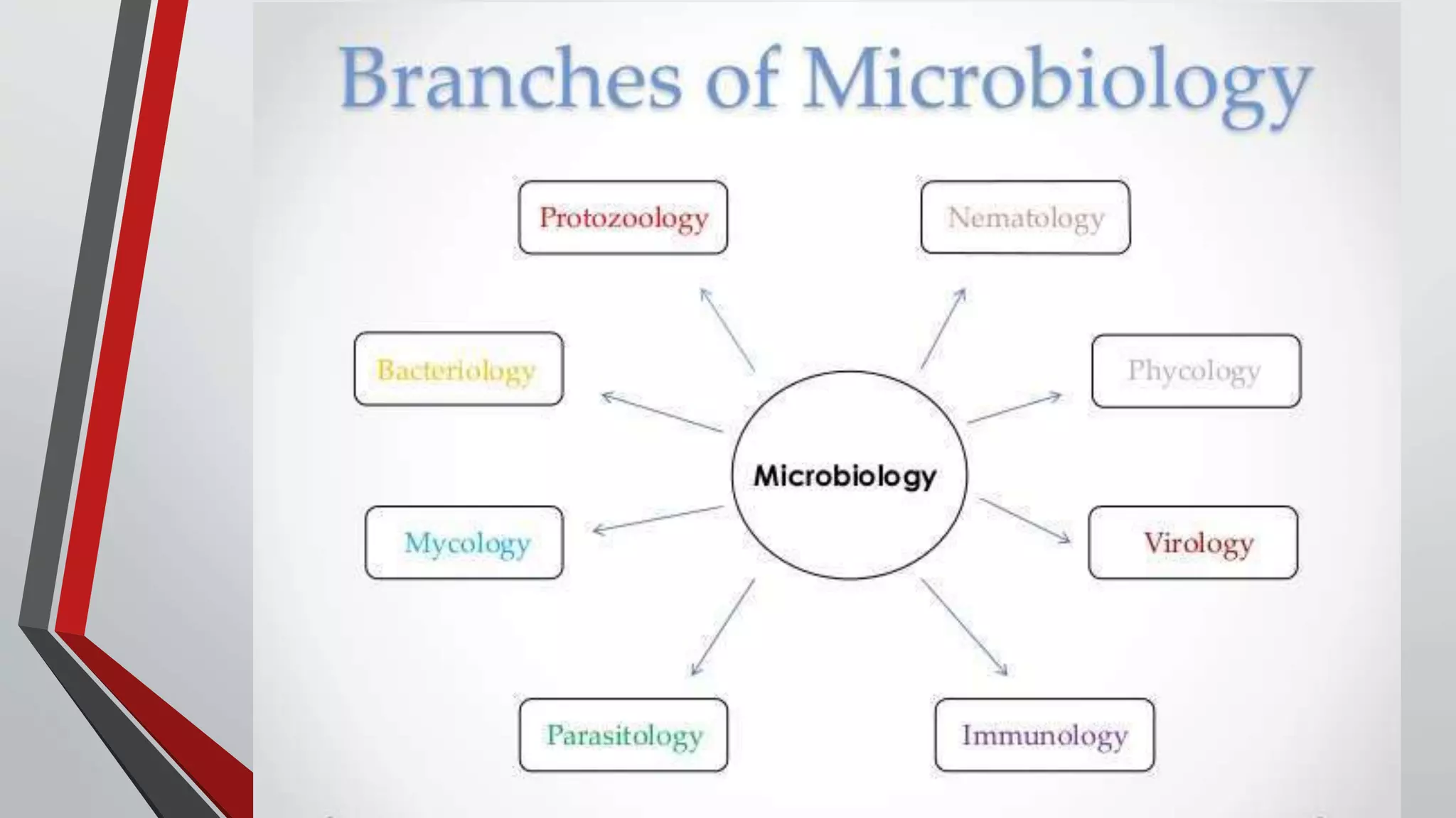 Pharmaceutical microbiology | PPTX