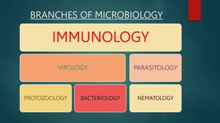 PHARMACEUTICAL MICROBIOLOGY Animesh Shukla.pptx